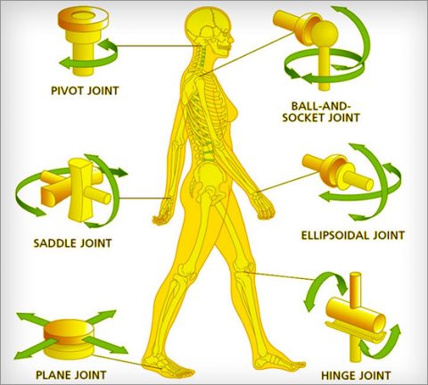 Benefits of Therapeutic Massage – Core Balance Movement