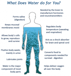 Health Benefits of Drinking Water – Core Balance Movement